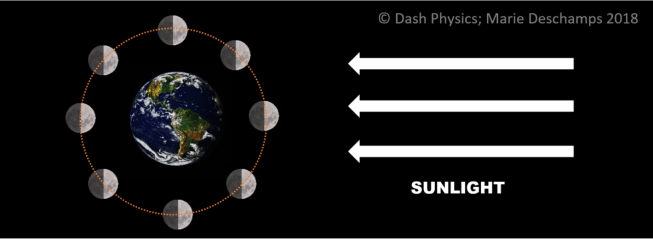 Lunar Phases – DASH PHYSICS